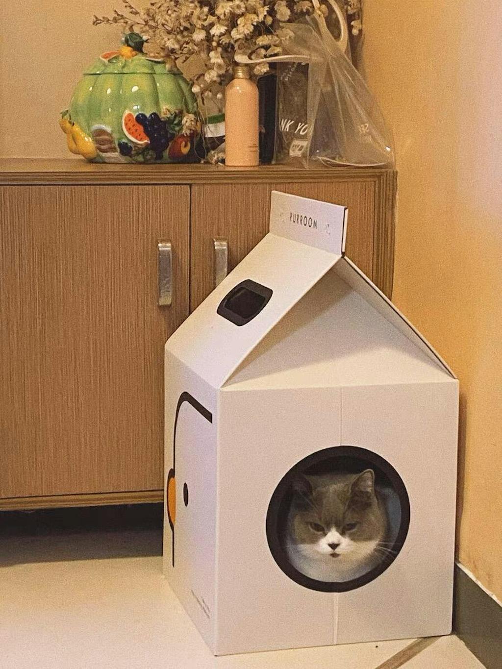 Cat Scratcher Milk Box House With Scratching Pad