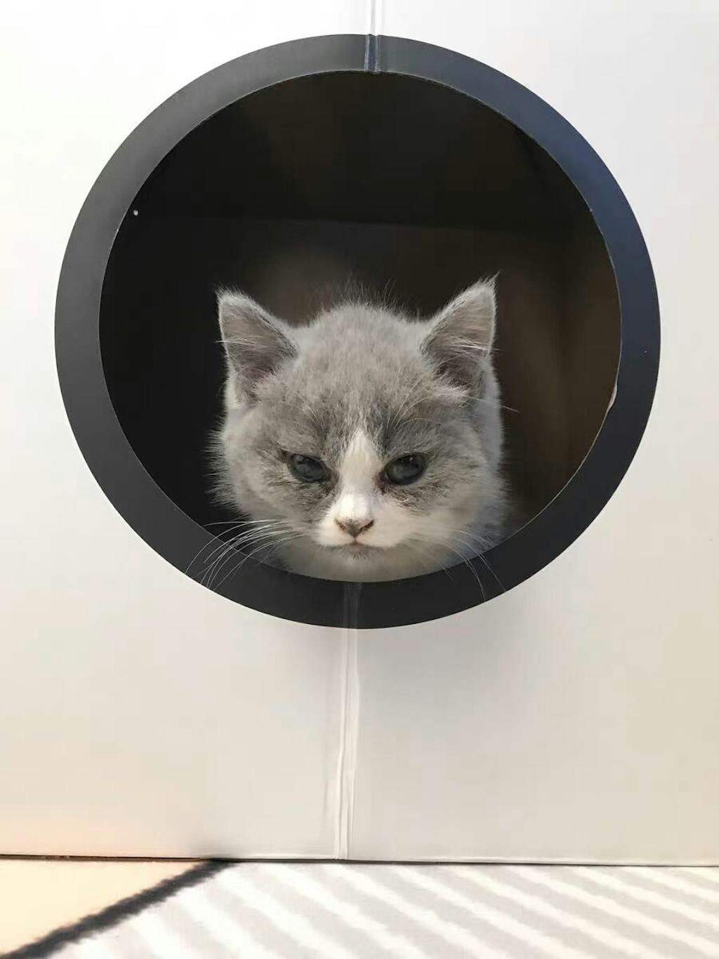 Cat Scratcher Milk Box House With Scratching Pad