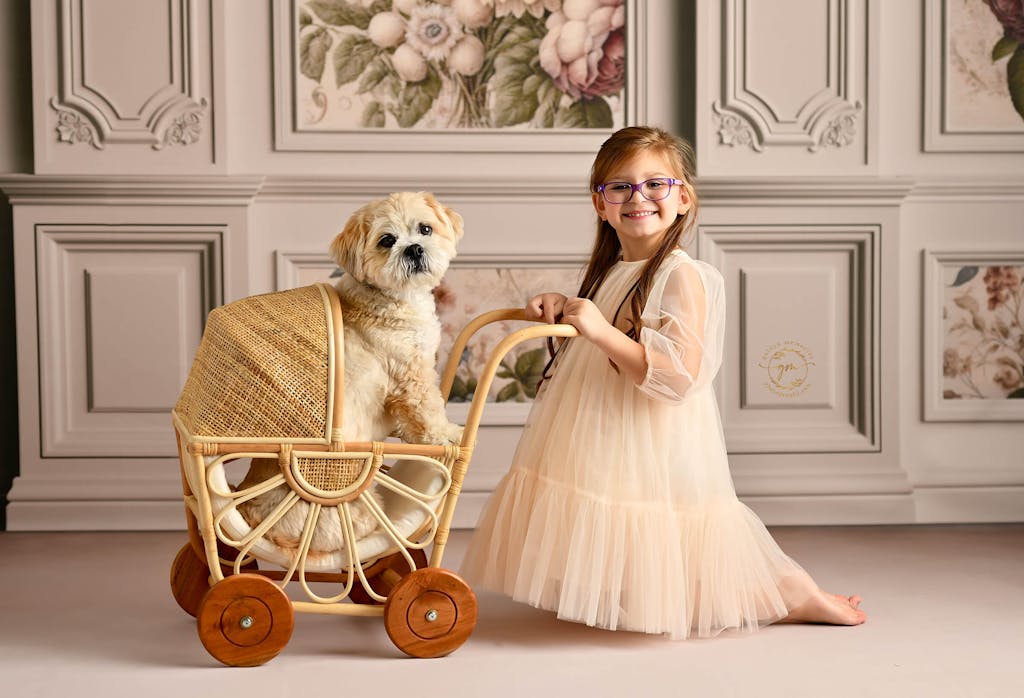 PREODER - Daisy Mae Doll Pram - PREORDER ONLY- SHIPS BY JANUARY 15th ...