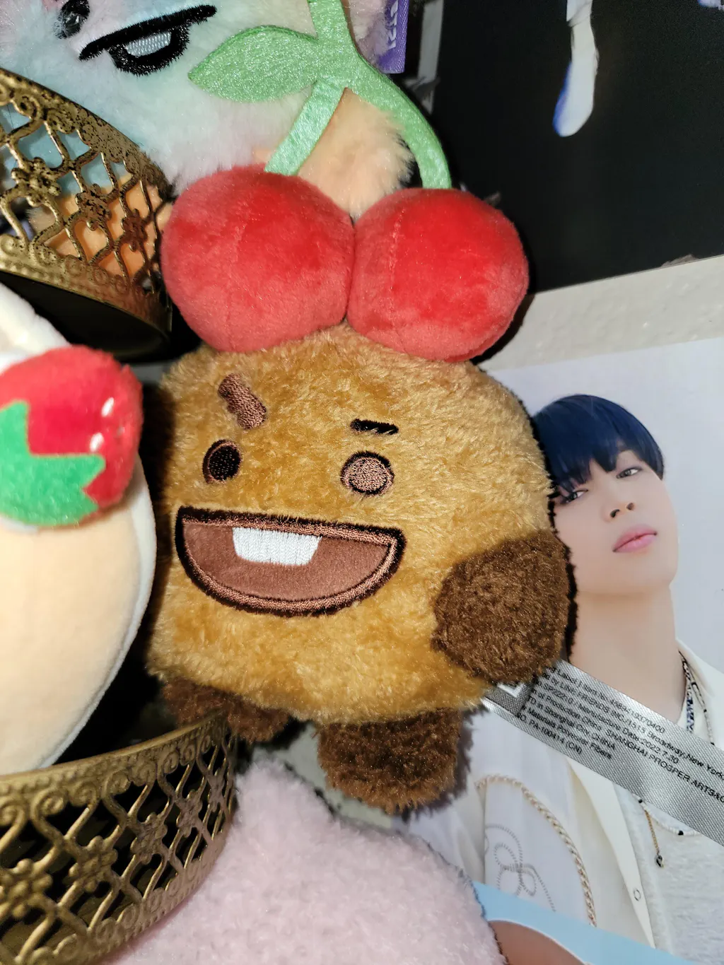 BT21 SHOOKY Fruit Plush M – LINE FRIENDS_US