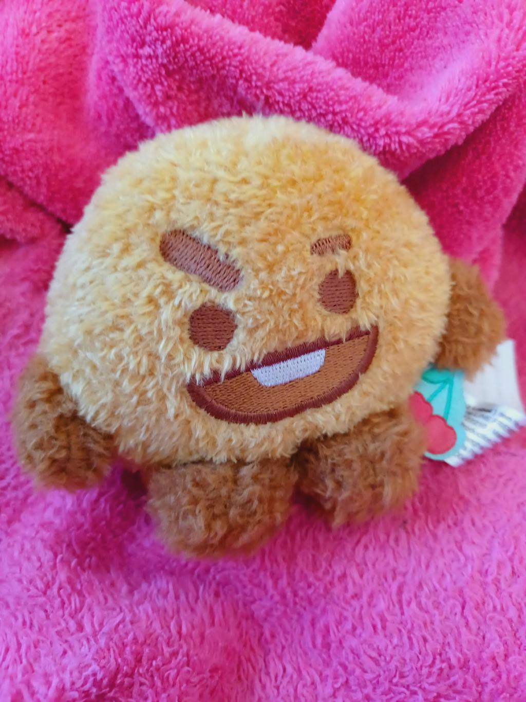 BT21 SHOOKY Fruit Bean Doll – LINE FRIENDS_US