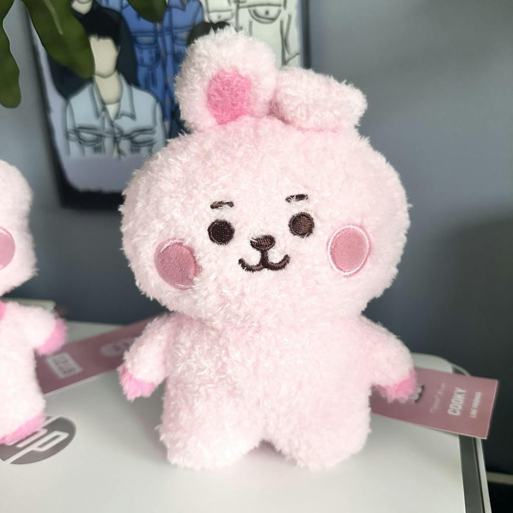 BT21 COOKY BABY Tatton Pink Plush S – LINE FRIENDS_US