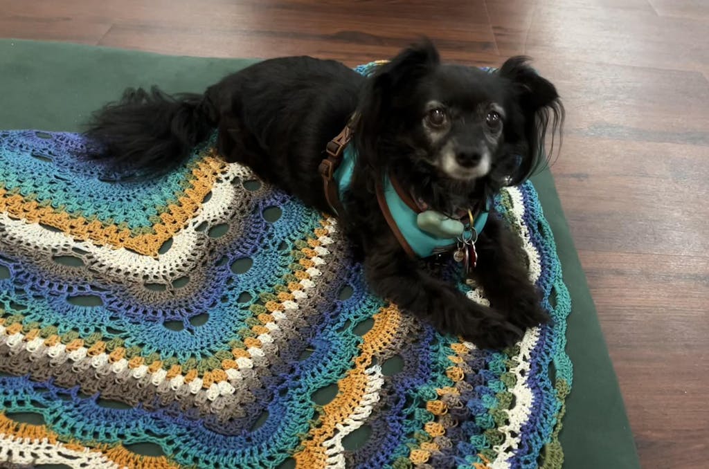 Mandala® String Yarn – Lion Brand Yarn