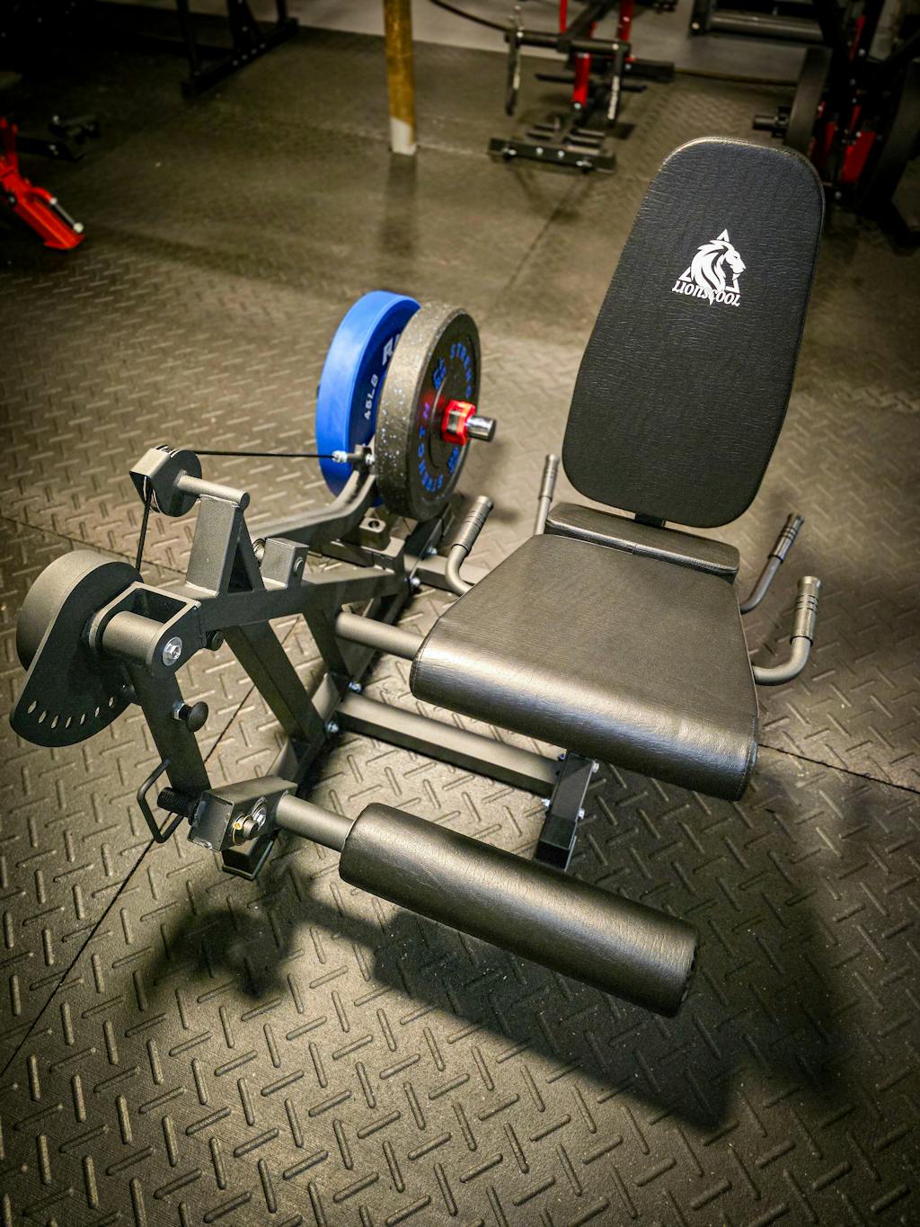 LIONSCOOL Leg Extension and Curl Machine V4.0, Adjustable Seated and ...