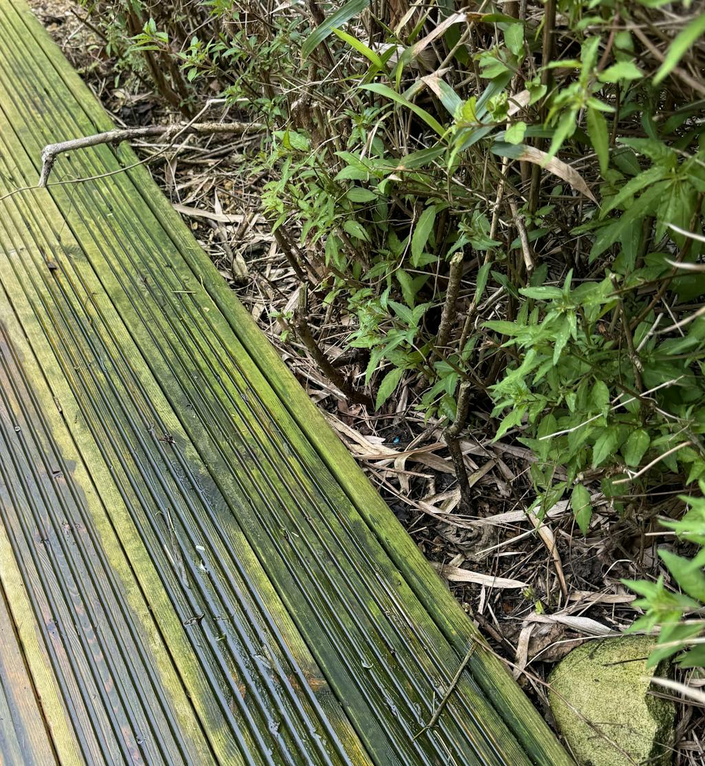 Bac 50 | Benzalkonium Chloride: A Versatile Concentrated Biocide – Liquipak