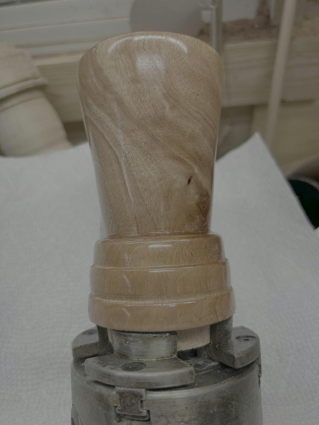 Clean Armor Sample Kit- Try it before you buy it! – Lite n Done