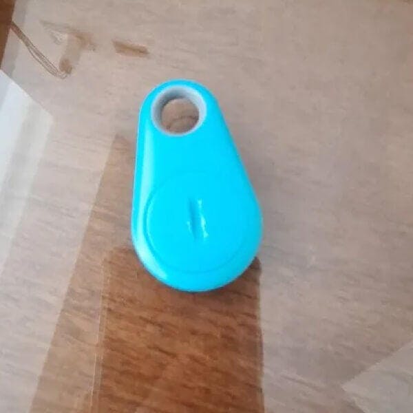 Kids, Pets, Car, Mini GPS Track Tag Tracking Finder Device – Little ...