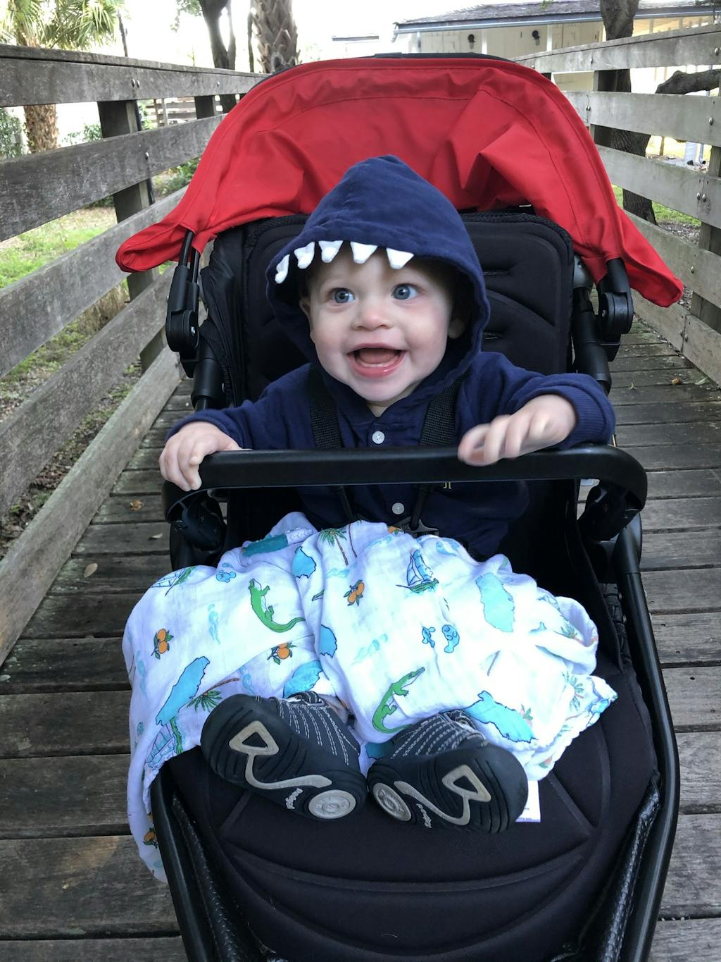 Florida Baby Muslin Swaddle Blanket: Shop Soft & Breathable – Little ...