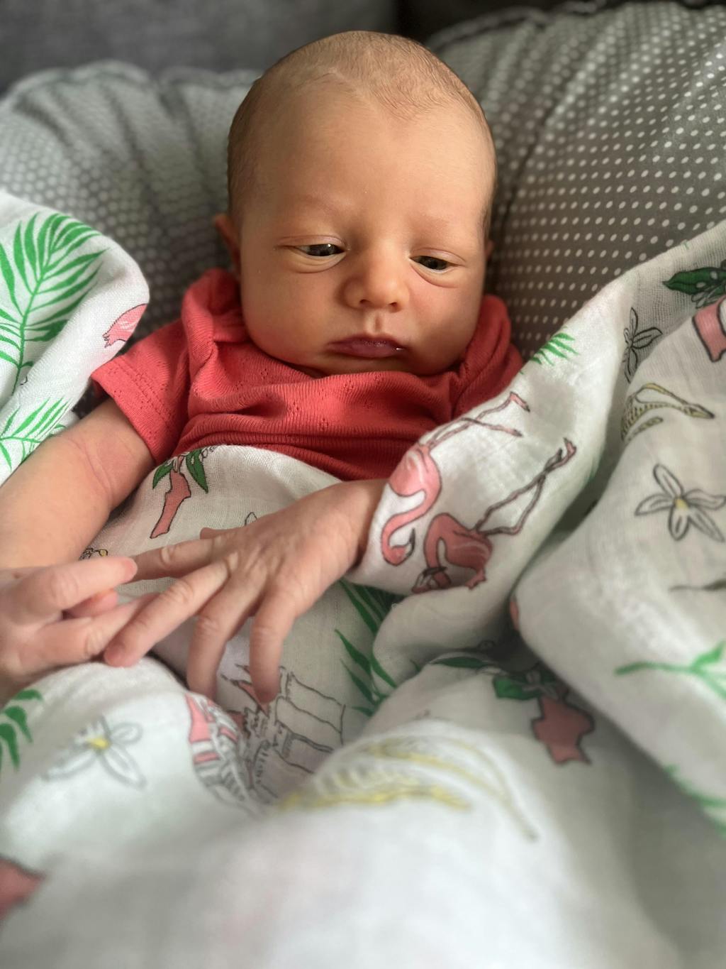 Florida Baby Muslin Swaddle Blanket: Soft & Breathable – Little Hometown