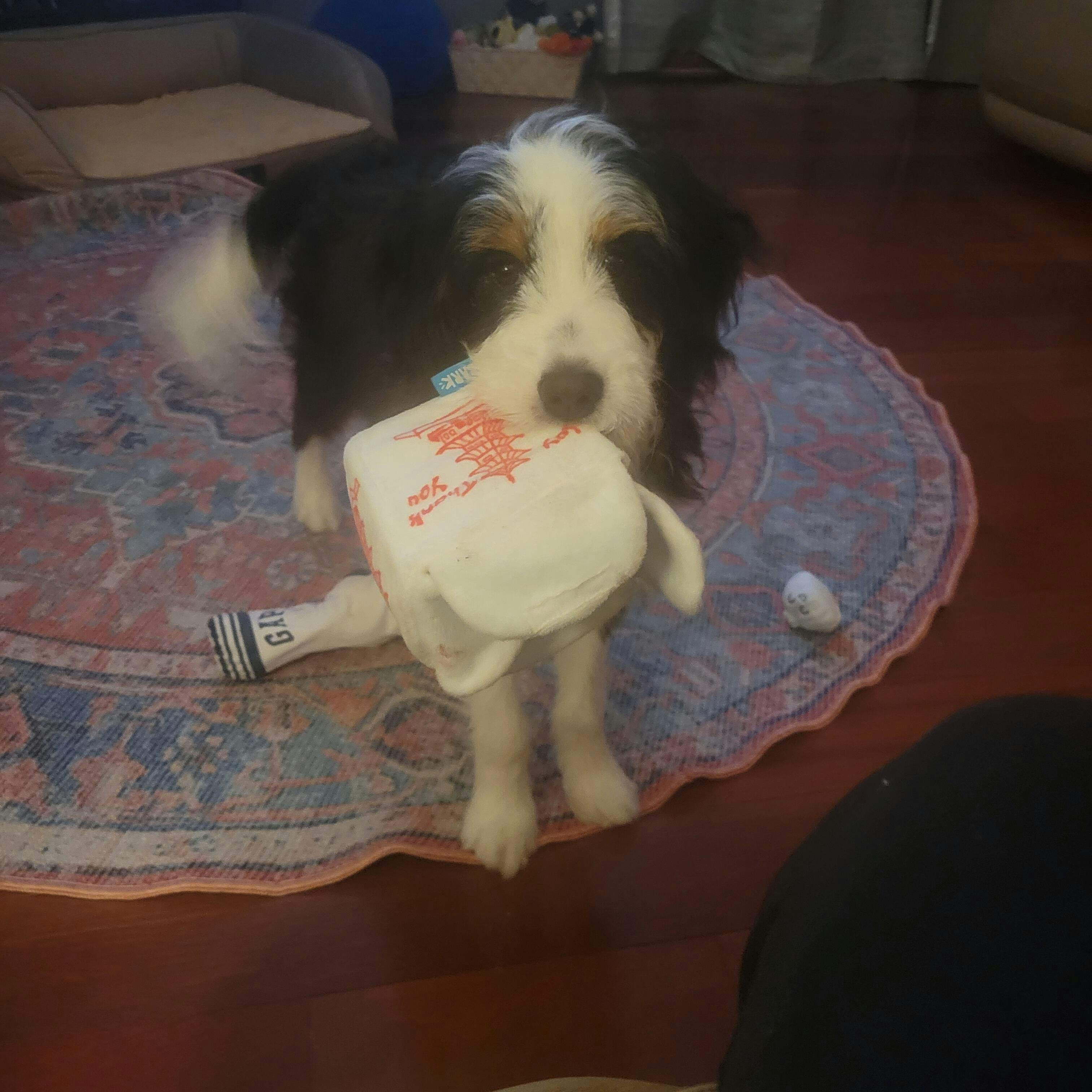 Ready-to-eat Raw Chicken Recipe – Little Hunter