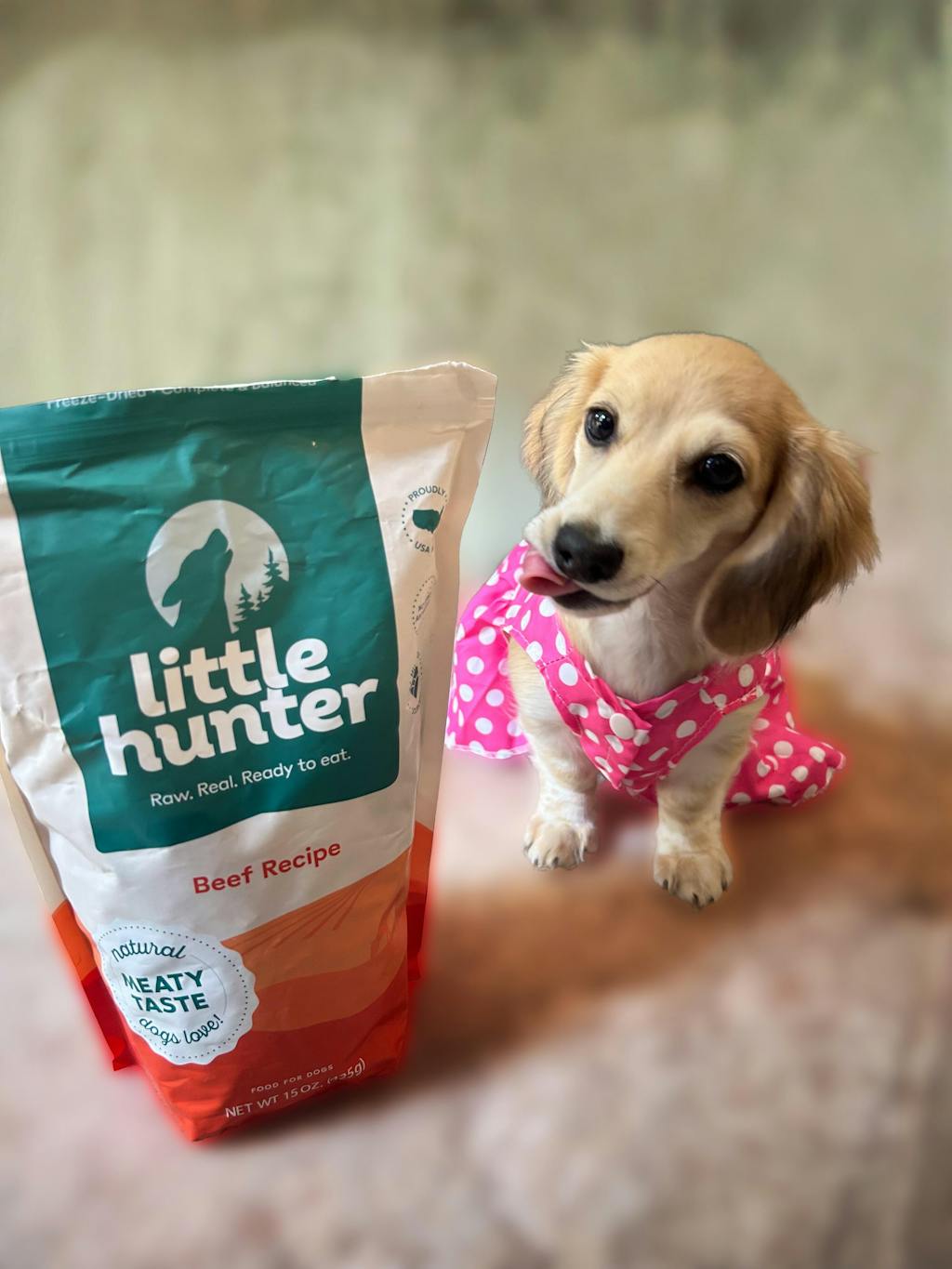 Ready-to-eat Raw Beef Recipe – Little Hunter