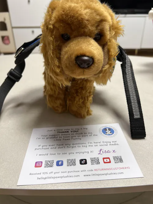Sinclair Australian Shepherd | Douglas Dog – Little Paws Plushies