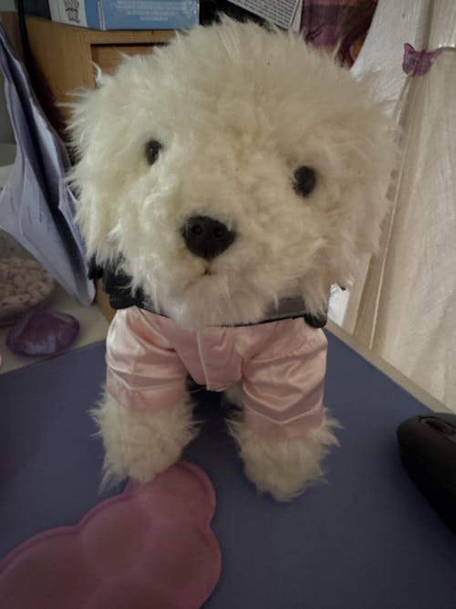 Collar & Leash Set | Assorted Colours | ESSA Gear – Little Paws Plushies