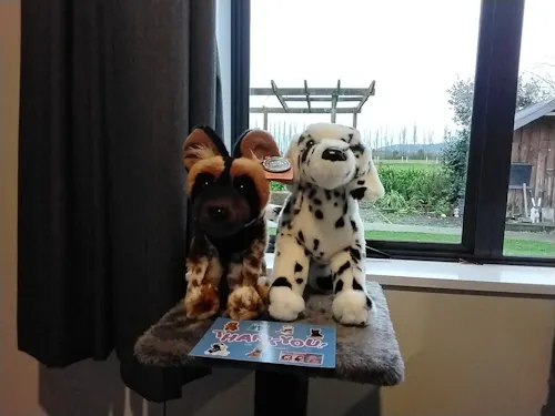 Sinclair Australian Shepherd | Douglas Dog – Little Paws Plushies
