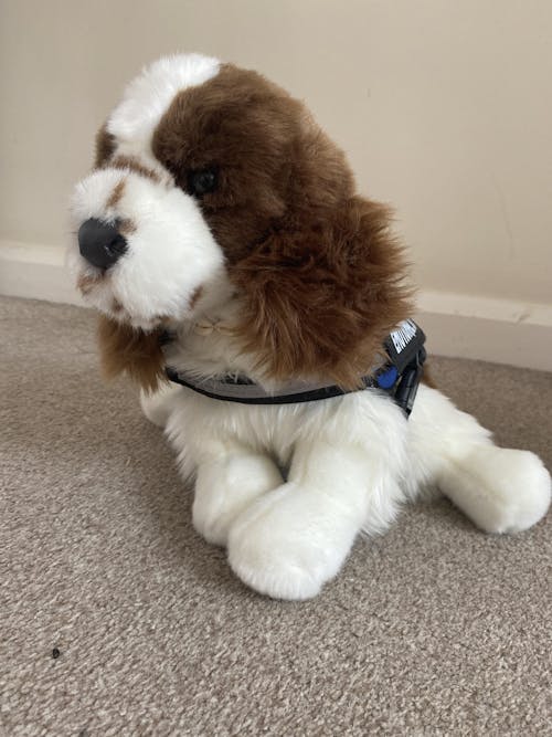 Sinclair Australian Shepherd | Douglas Dog – Little Paws Plushies