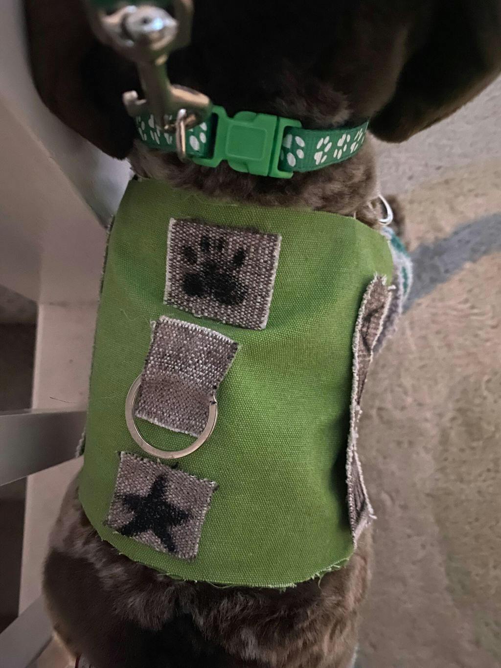 Wolfgang German Pointer | Douglas Dog – Little Paws Plushies