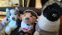 Wolfgang German Pointer | Douglas Dog – Little Paws Plushies