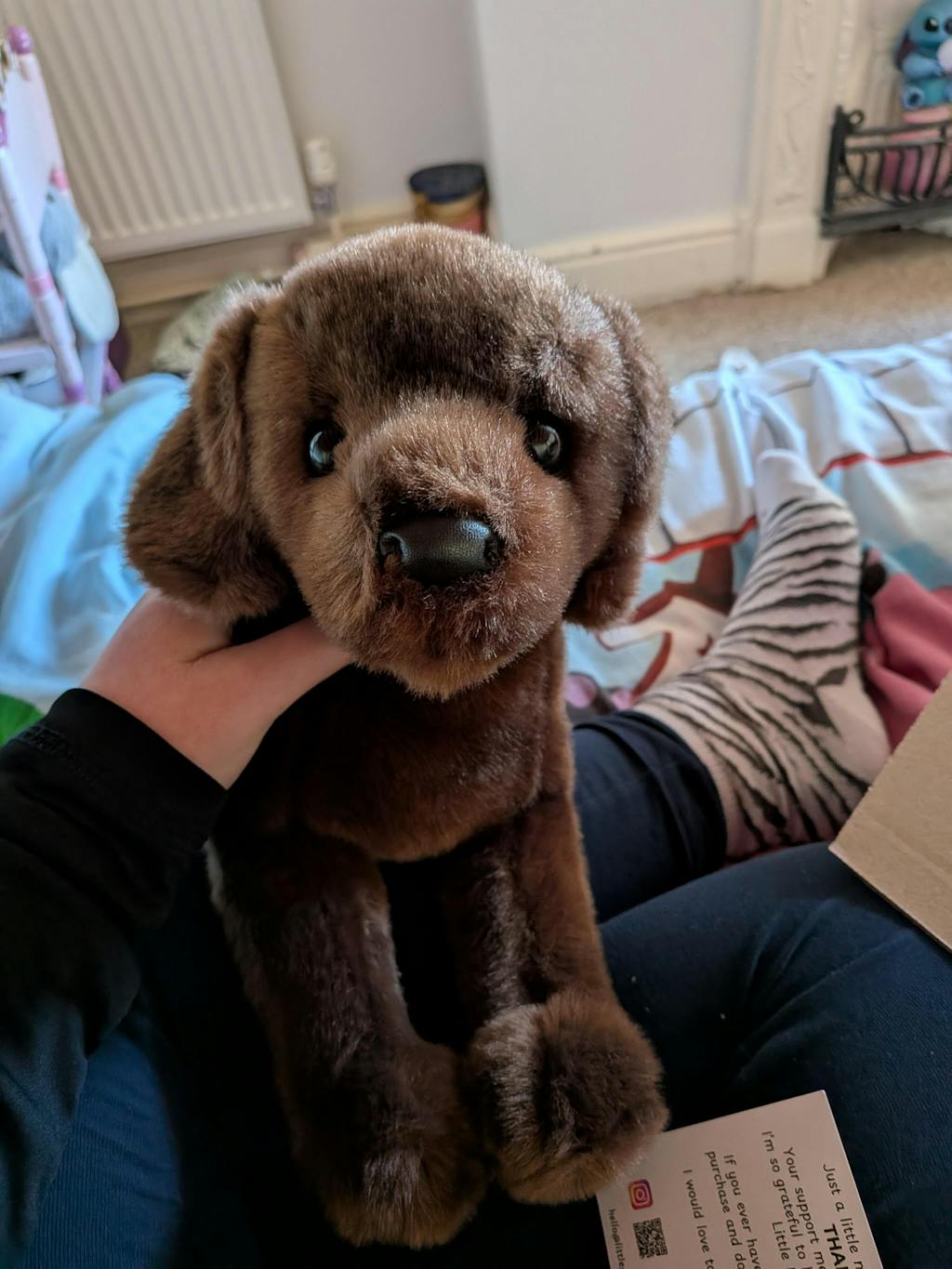 Emotional Support Stuffed Animals – Little Paws Plushies