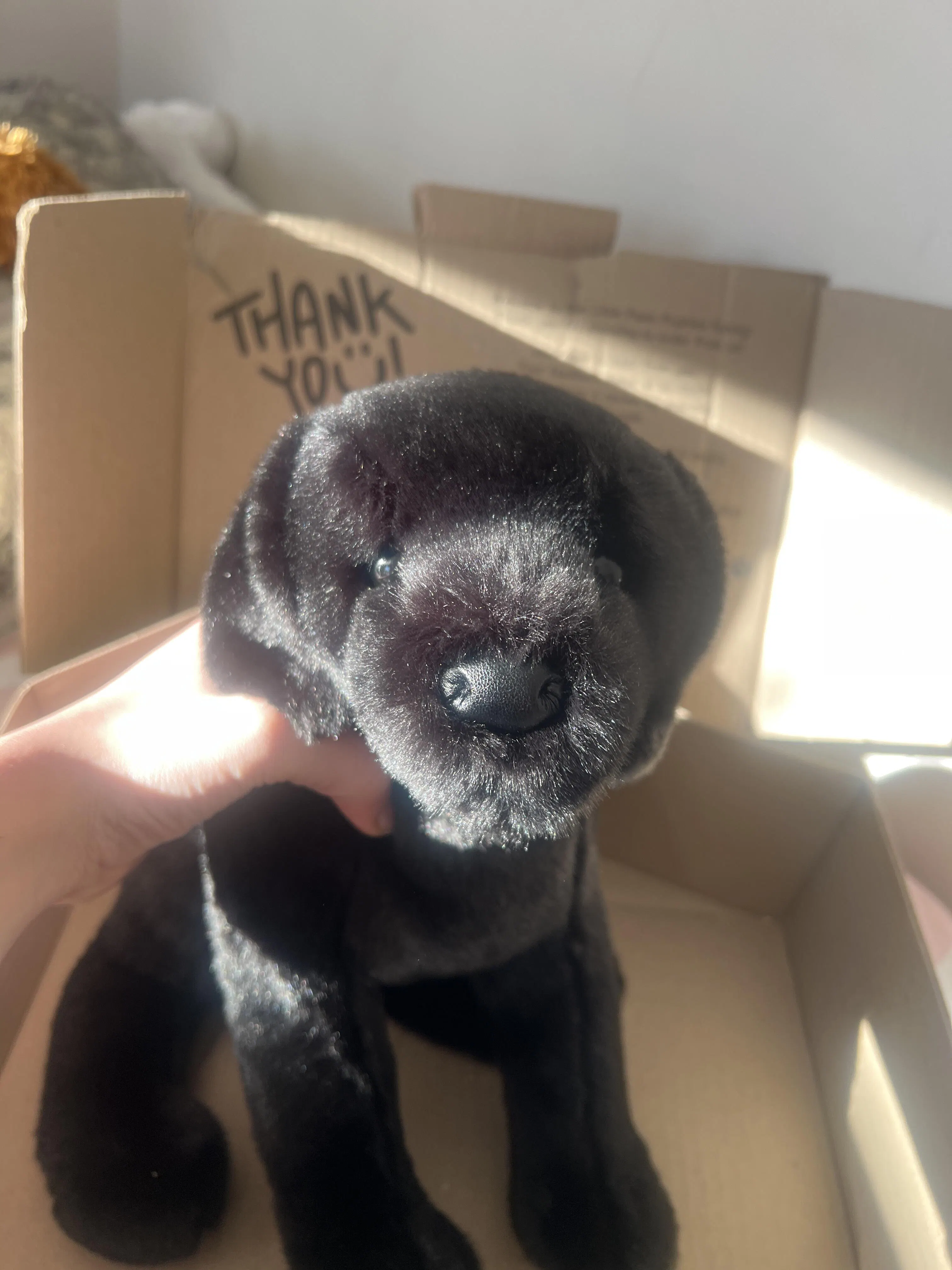 Emotional Support Stuffed Animals – Little Paws Plushies
