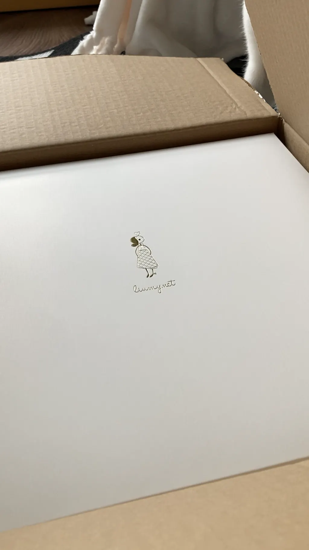 Minimal Line Design | Album – Liumy Albums