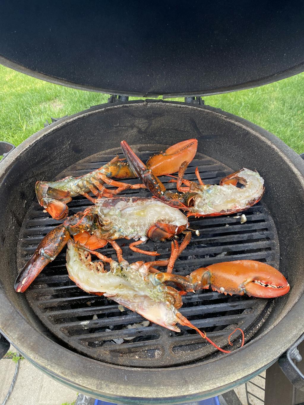 Buy Live 1 1/2 lb lobster Online | Live Lobster Shipped