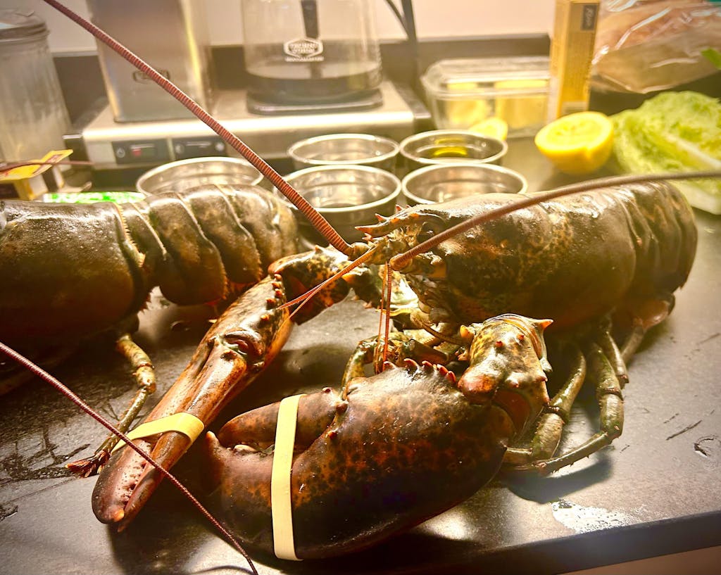Live Maine Lobster Delivered Fresh Overnight | Order Online