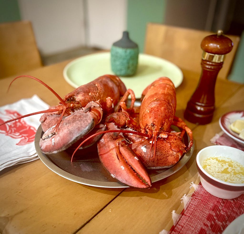 Giant Lobster | Buy a Big Lobster Online | Live Lobster 5-6 lbs from Maine