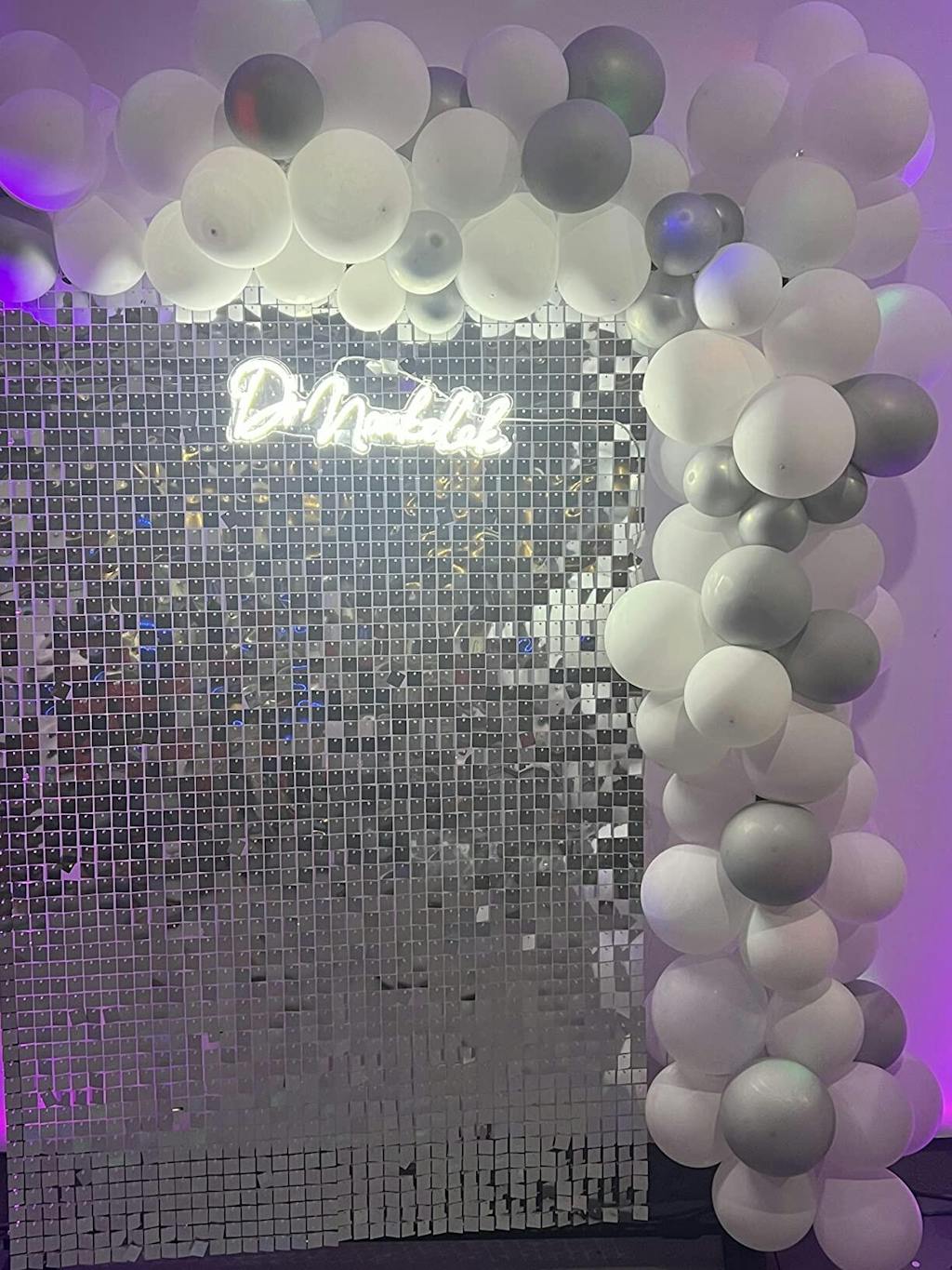 Lofaris Silver Shimmer Sequin Wall - Sequin Panels Back Decor