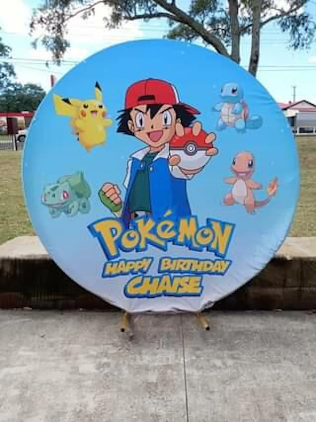 Pokemon Theme Cartoon Birthday Circle Party Backdrop Kit#N#– Lofaris