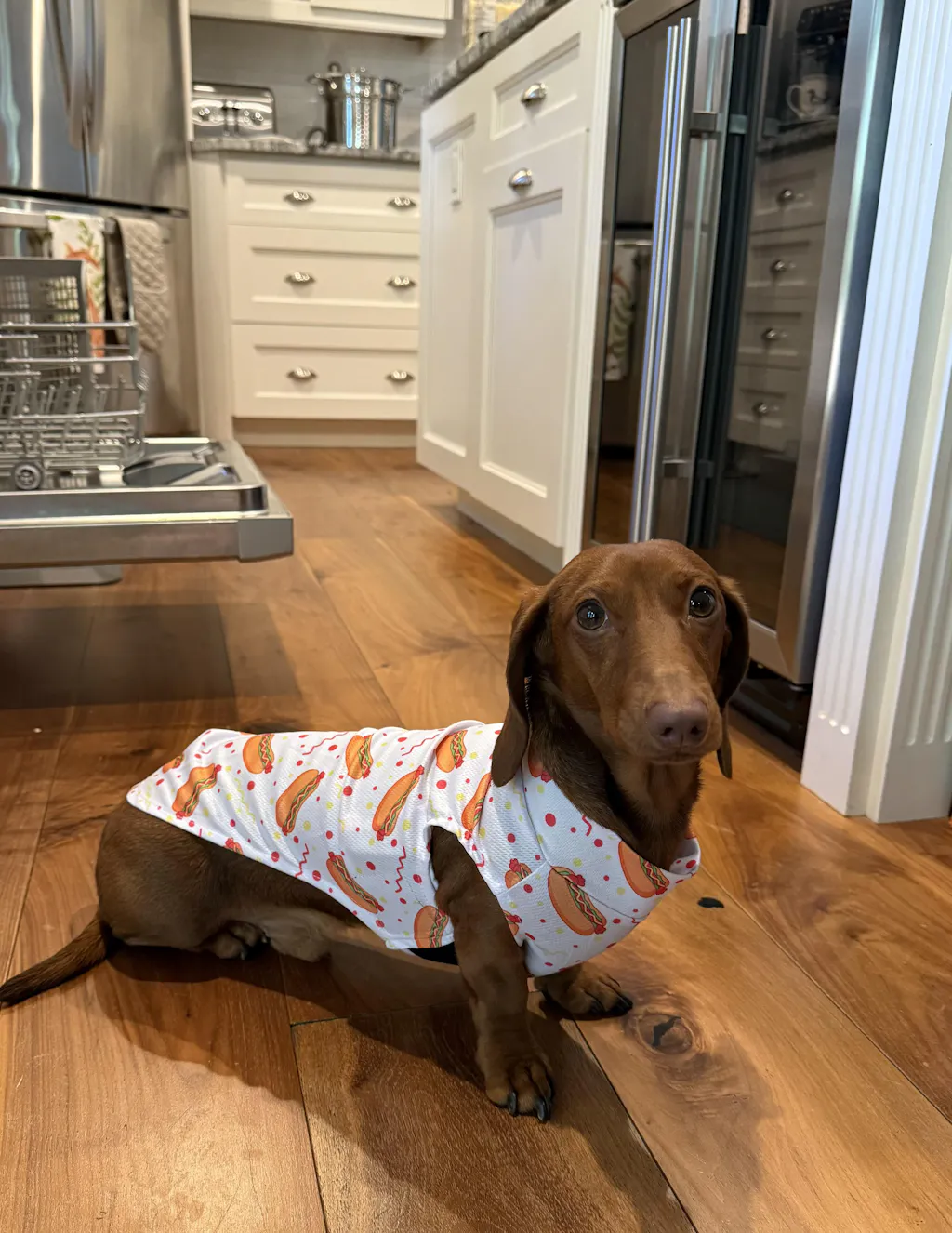 The Dachshund Cooling Vest | Longboi & Co.