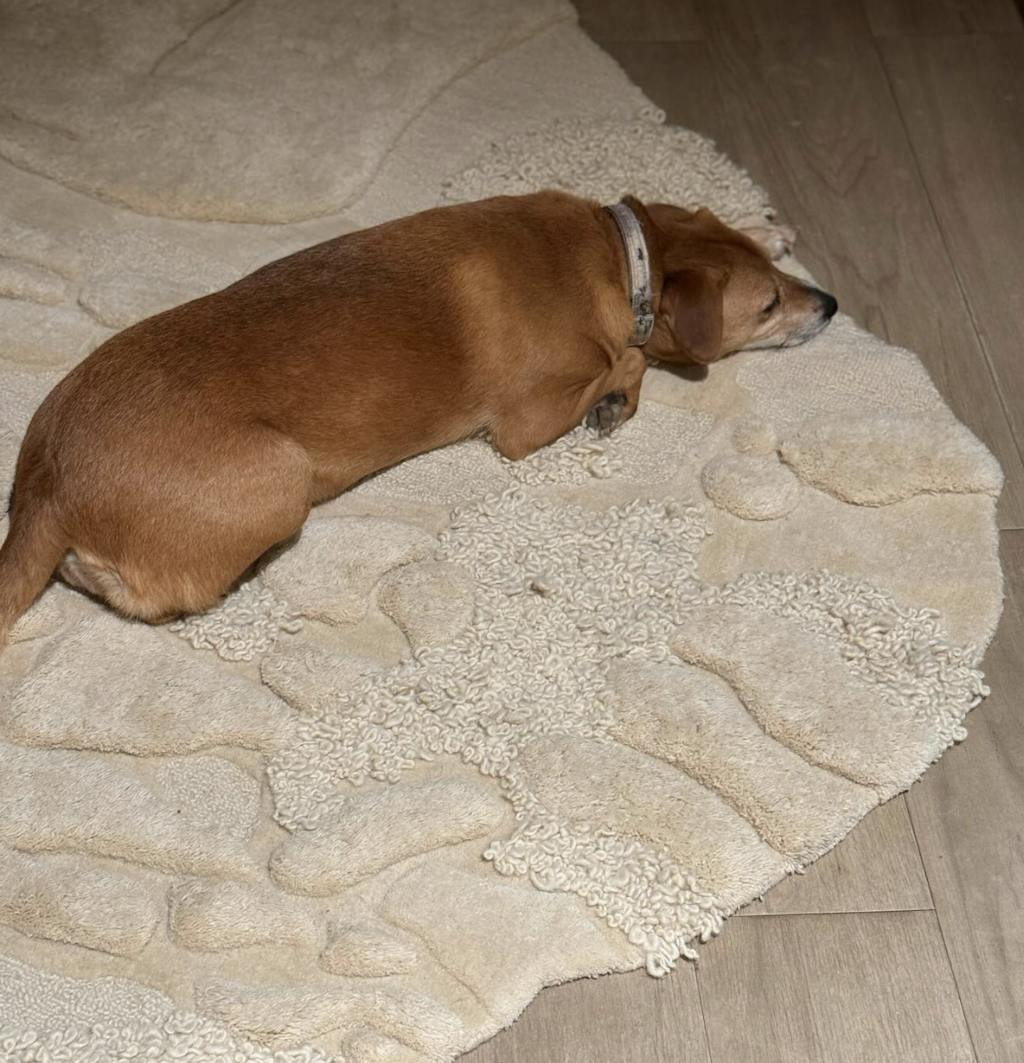 Textured Terrain Rug: Minimalist Warmth & Style | Loops by LJ