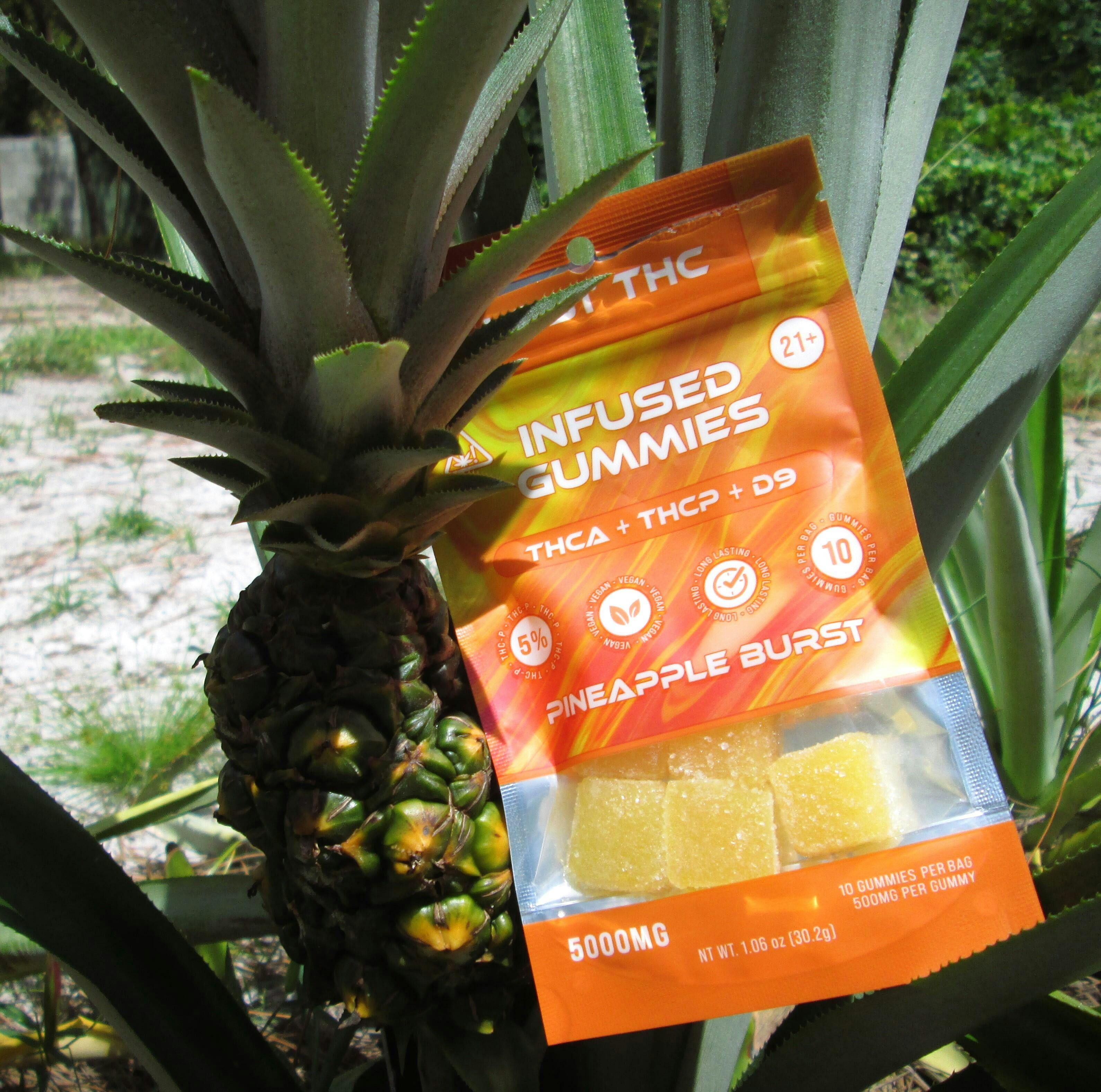 Lost THC Infused Gummies | Pineapple Burst | 5000mg Total – LOST BRANDS