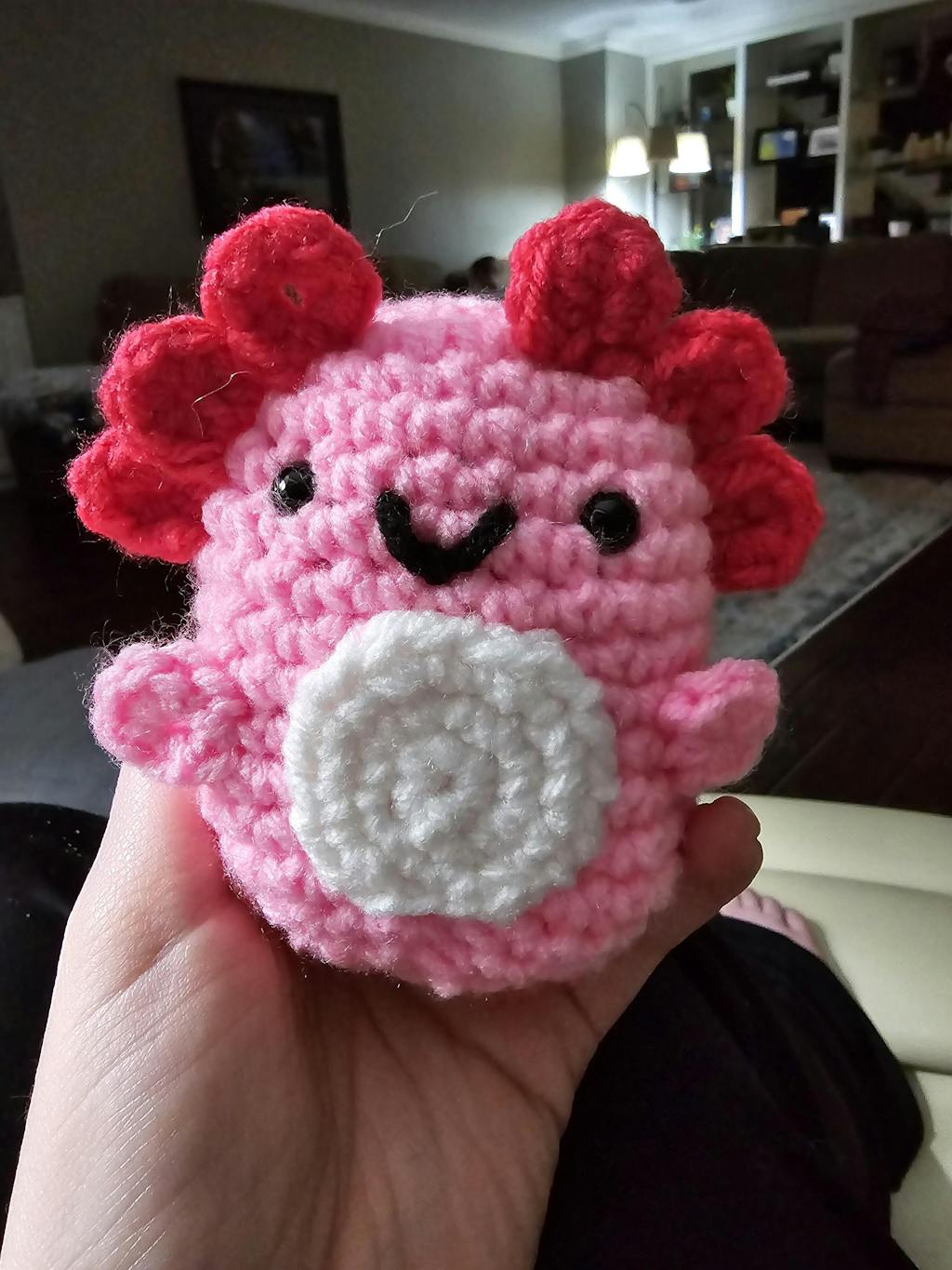 Axolotl Duo Crochet Kit – Lousy Llama