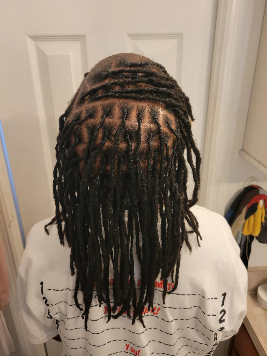 Horsetail Leaf Growth Oil for Locs – Love, Light & Locs
