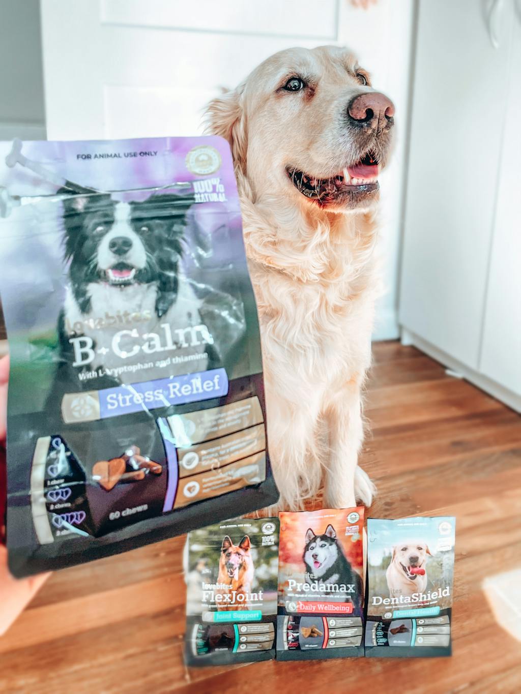 B-Calm - Stress Relief for Dogs – Lovebites for Pets