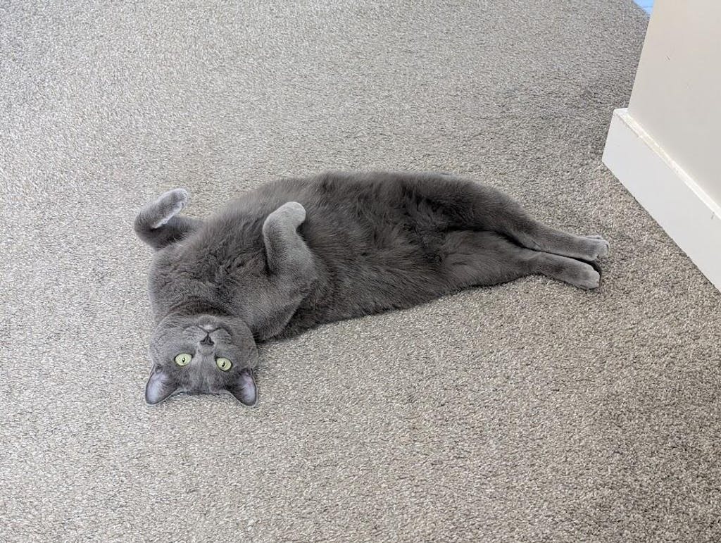 Blank T-shirt Short Sleeve – LTTStore Global