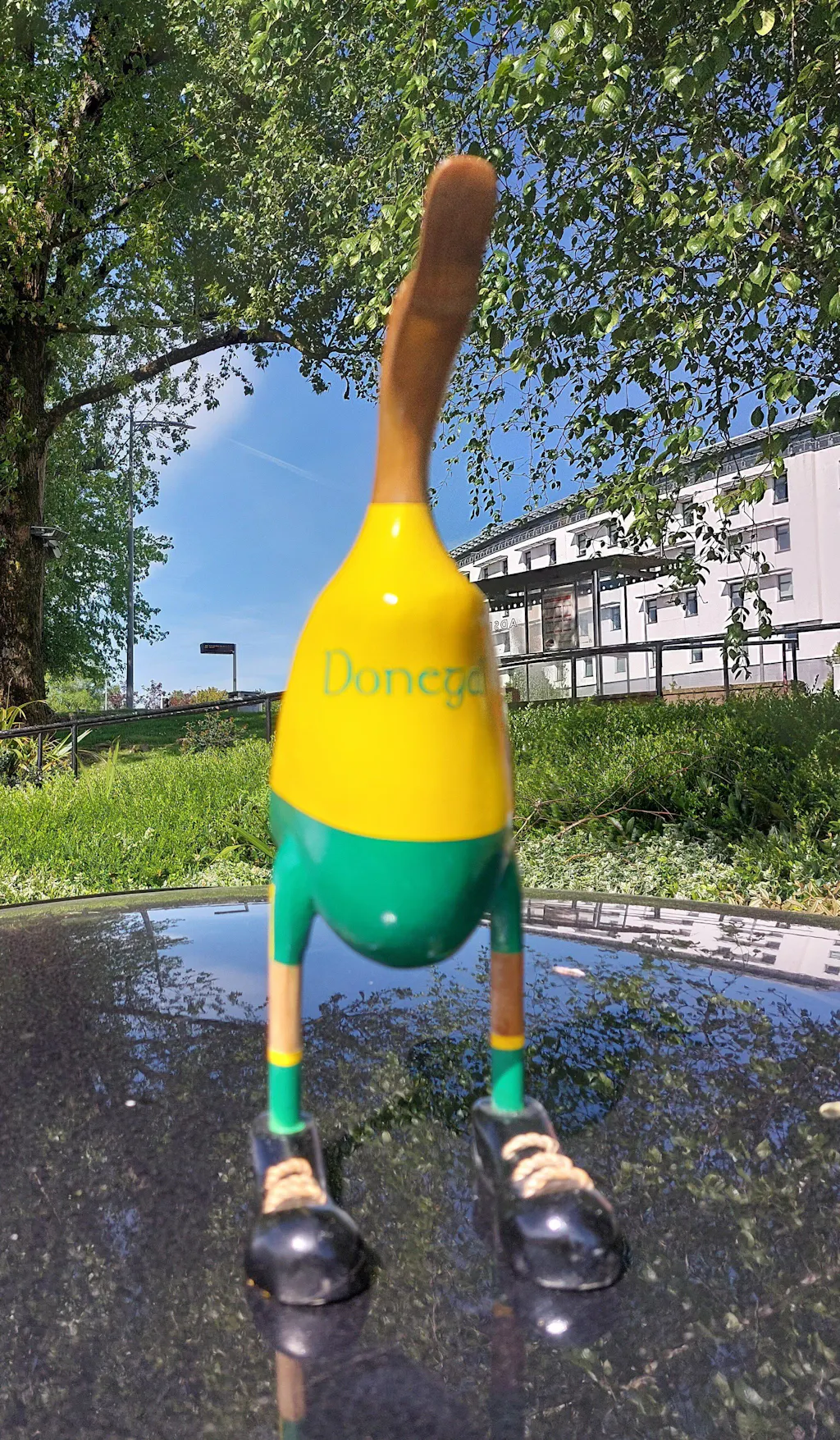LuckyDucks.ie – Lucky Ducks