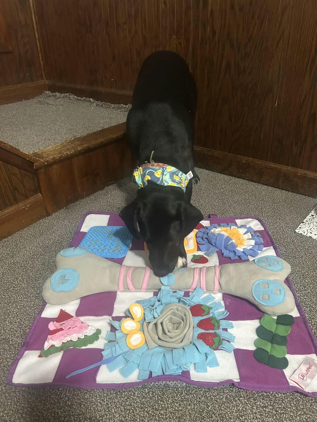 Squeaky Duck Snuffle Mat for Dogs – 2-in-1 Toy & Foraging Fun – LUFTPETS