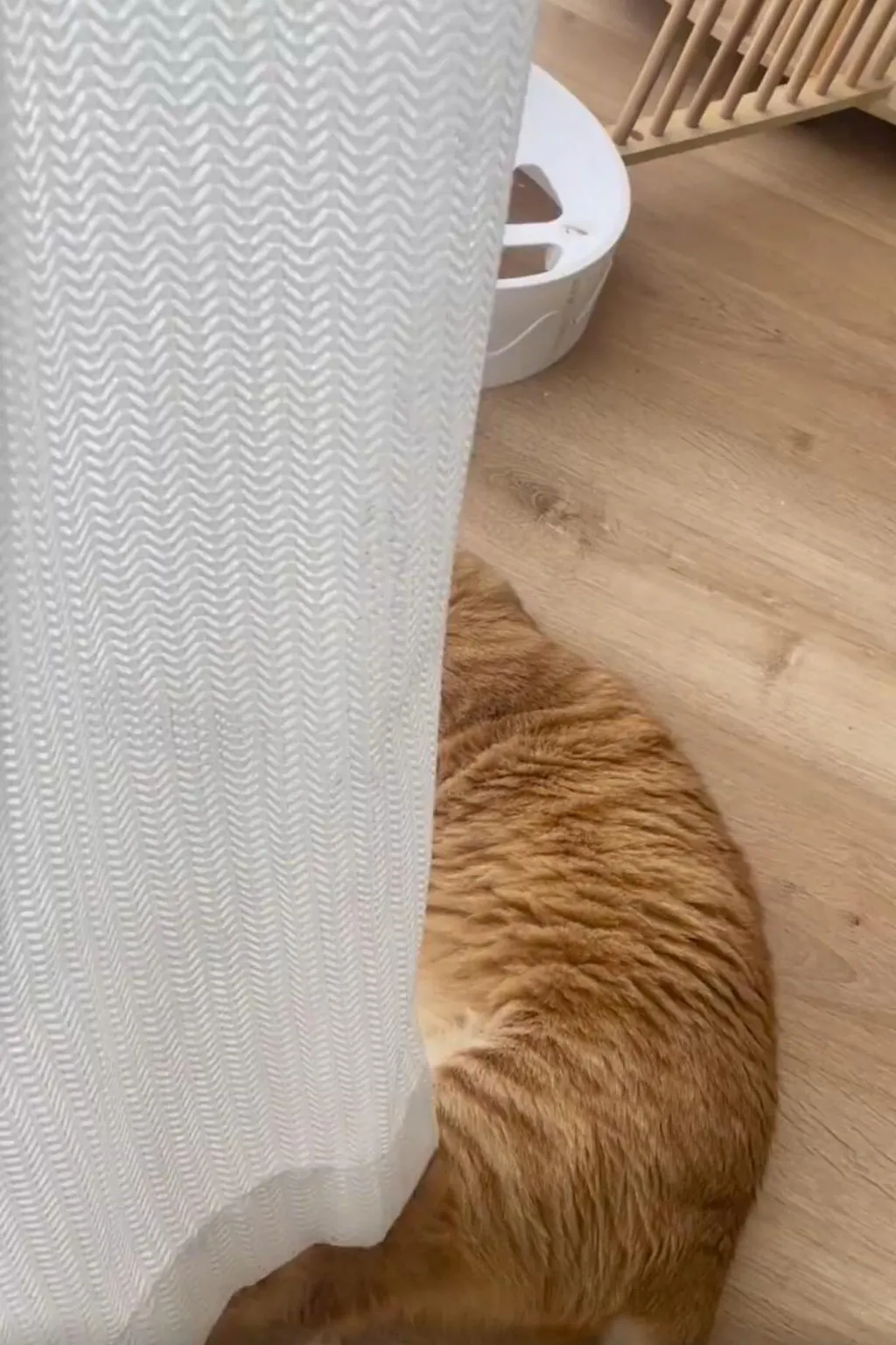 Cat Proof Sheer Curtains | Pet-Friendly | Scratch Proof - Lumos Curtains