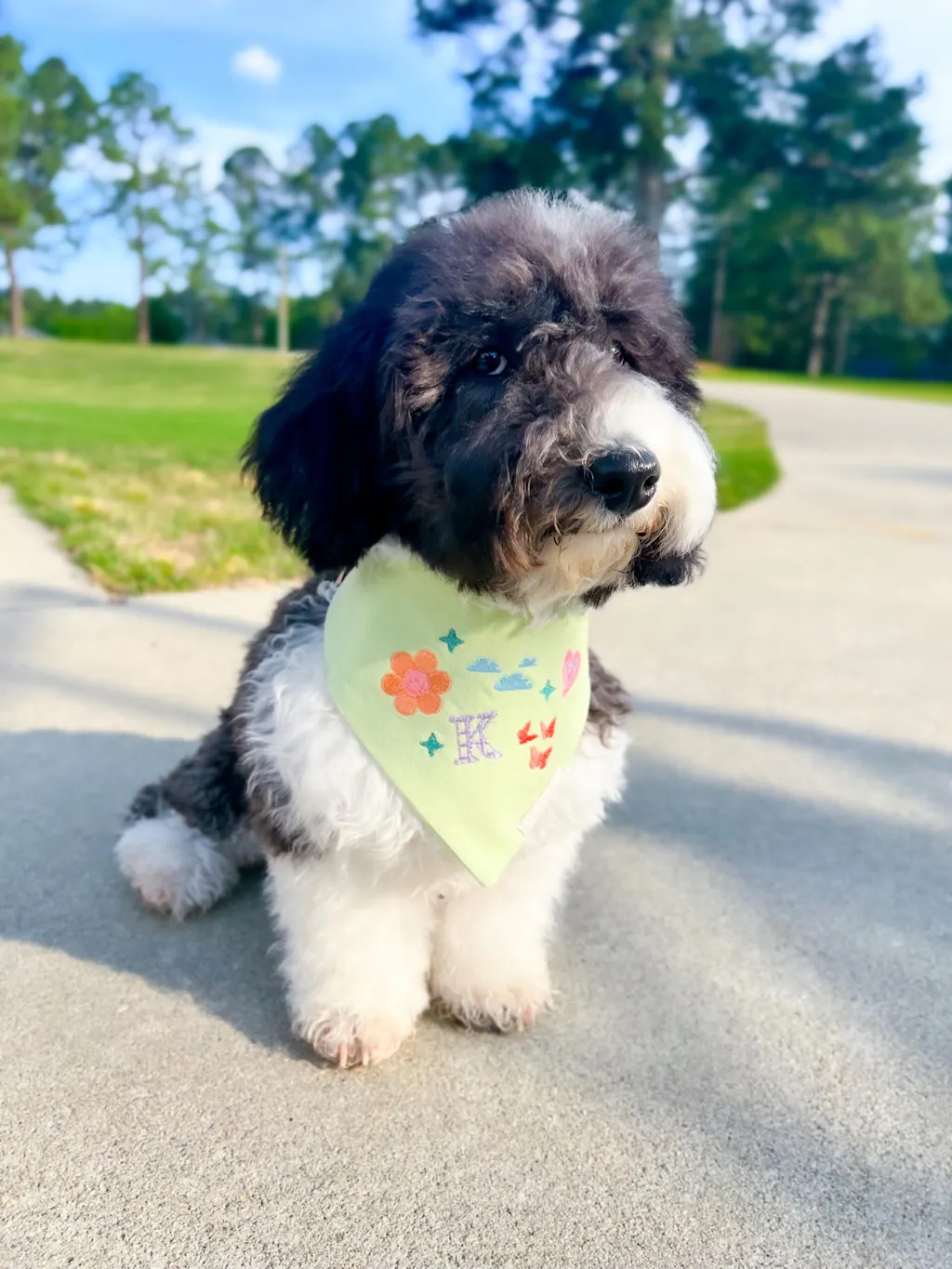 Lunaa is a lifestyle brand that is designed for you and your pup.
