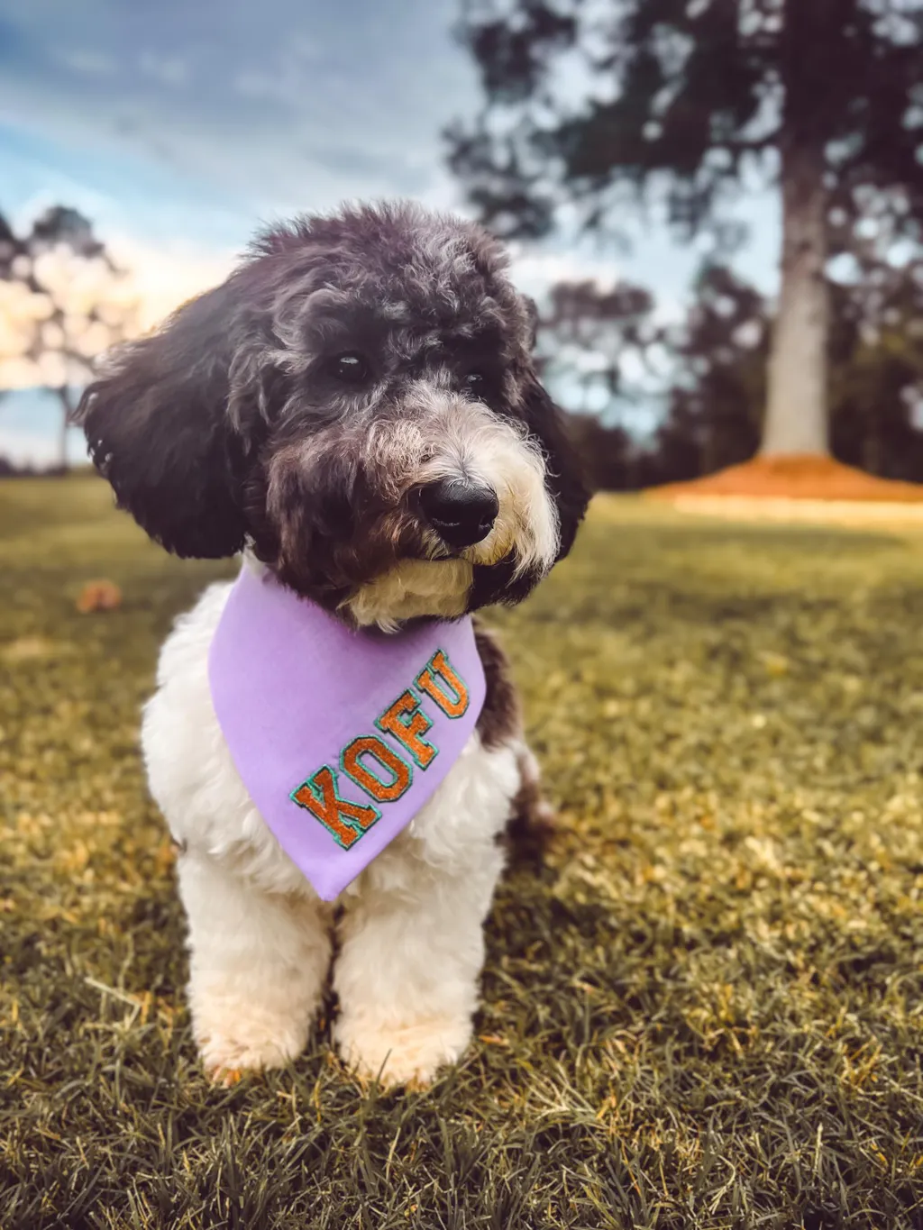 Lunaa is a lifestyle brand that is designed for you and your pup.