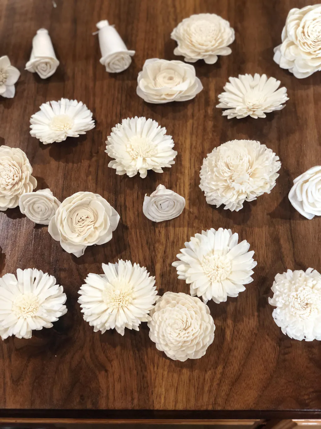 Tail Stems - Pack of 50 – Luv Sola Flowers