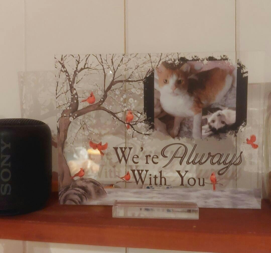 Reviews – Macorner