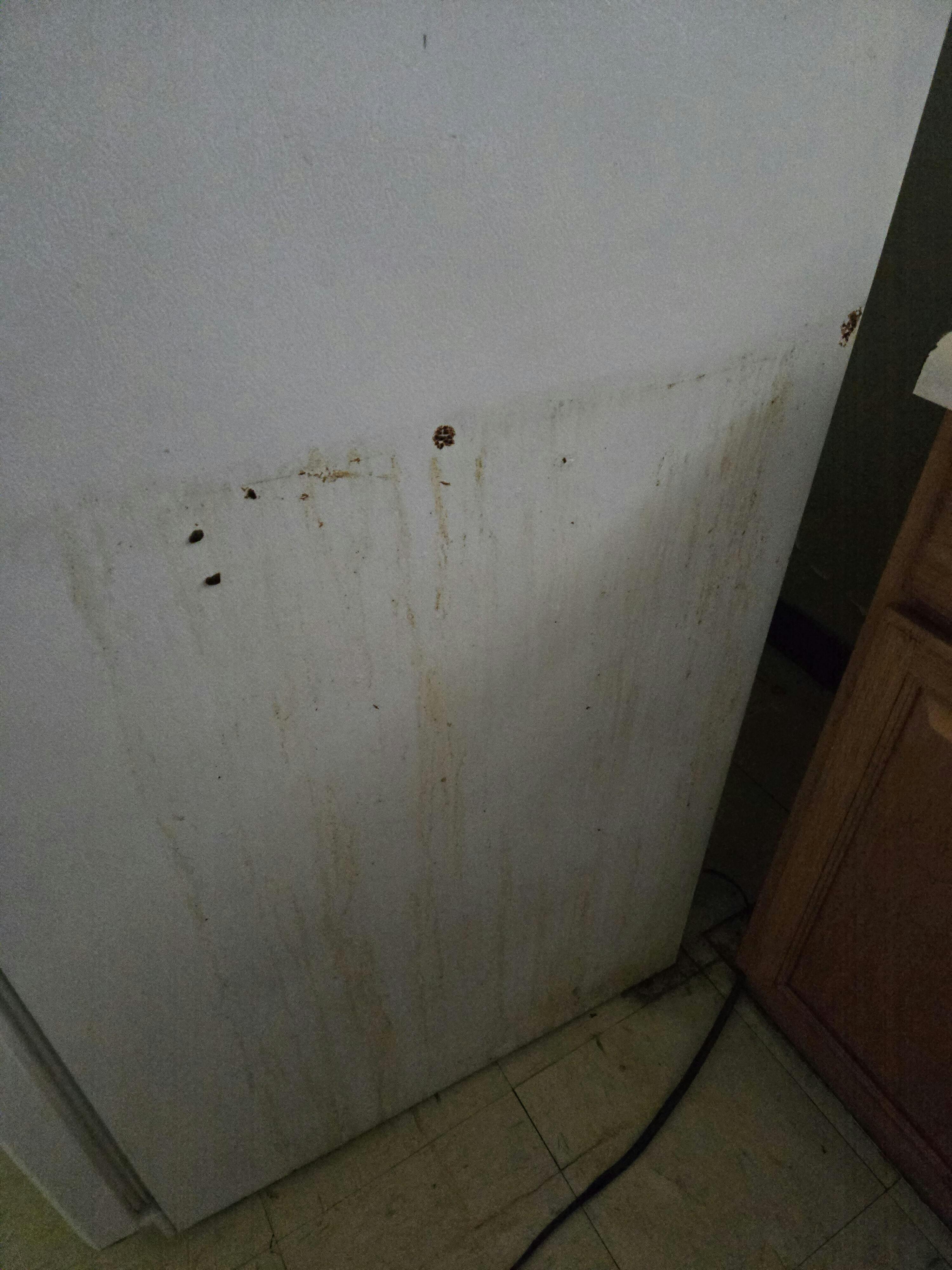 XTREME APC – MAD Detailing