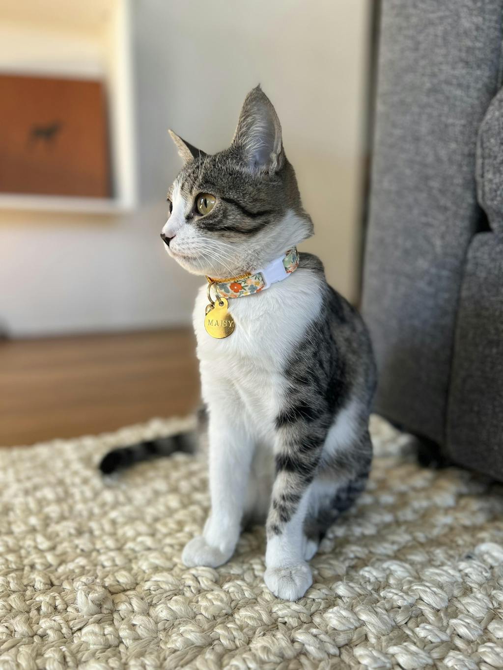 Cat Collar - "Aurora" - Orange & Yellow Floral Cat Collar / Fall, Spri ...