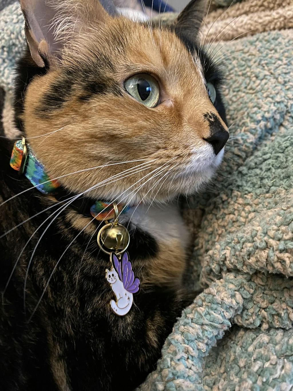 Pet Collar Charms - For Cat Collars & Small Dog Collars - Made By Cleo