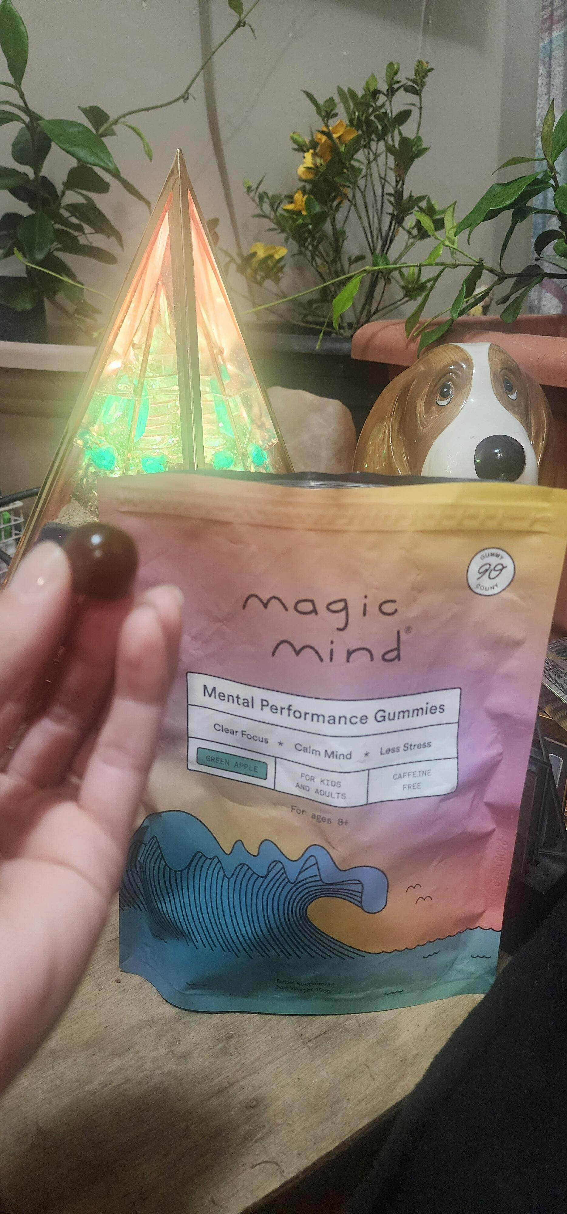 5 Reasons Why – Magic Mind