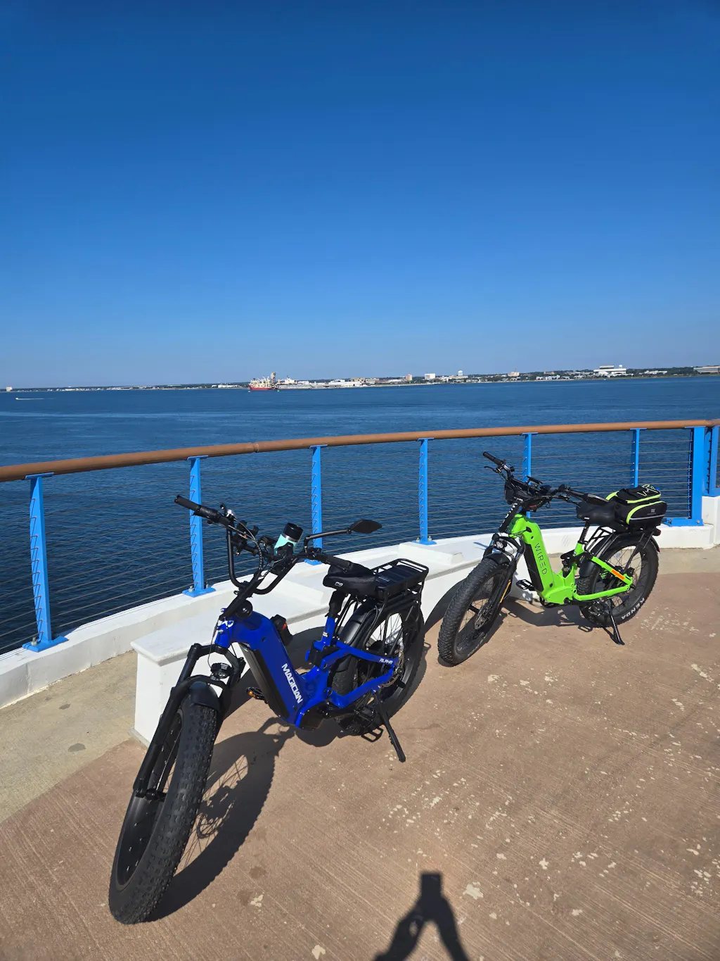 Magician Ebike - Off-Road Electric Bicycles for Power and Durability ...