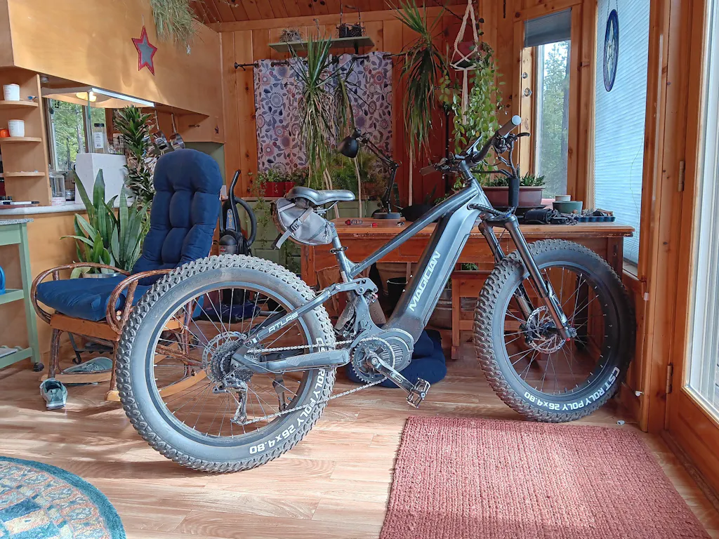 Magician Ebike - Off-Road Electric Bicycles for Power and Durability ...