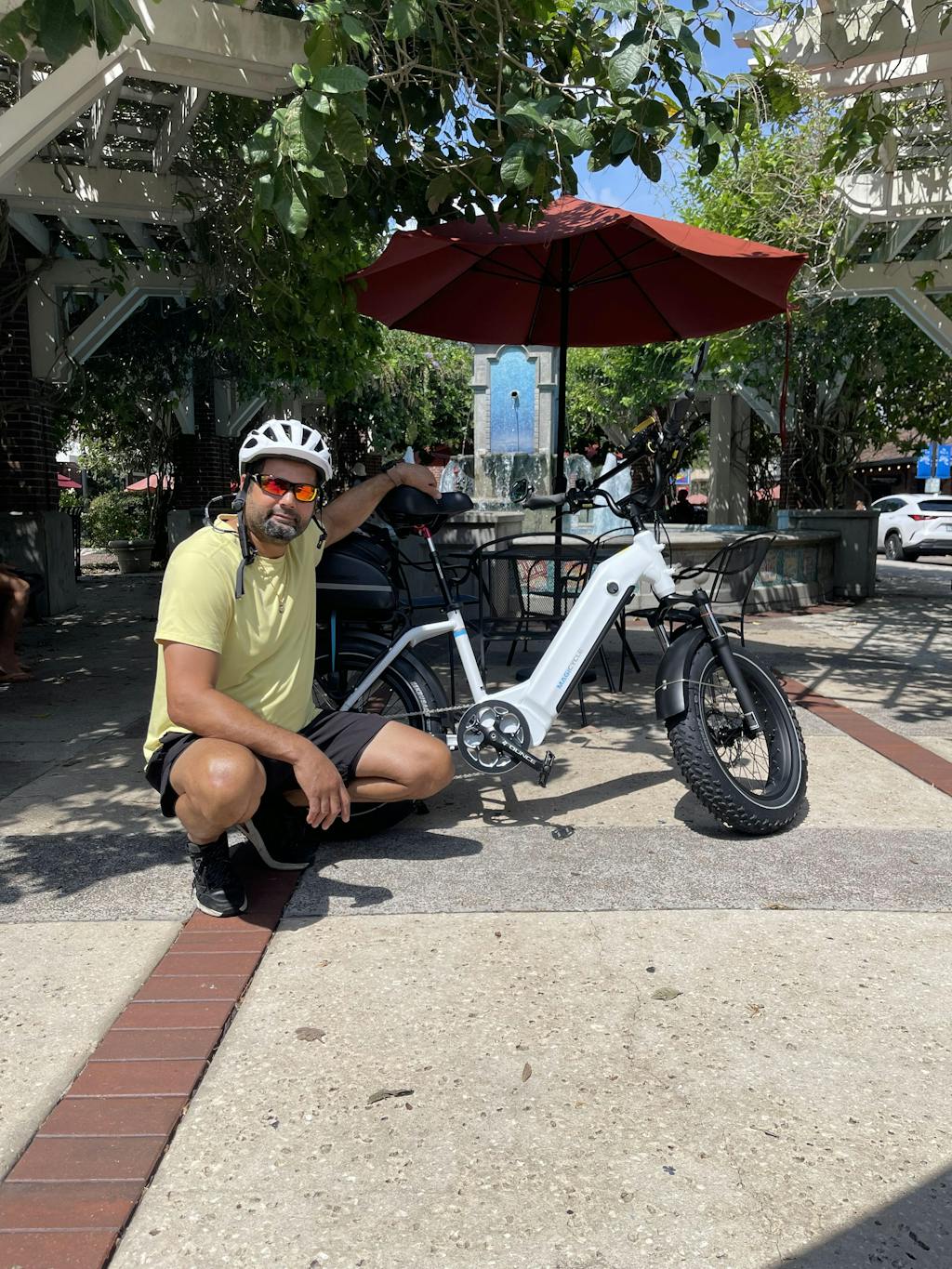 Ocelot Pro Long Range Step-Thru Fat Tire Electric Bike - Space Gray ...